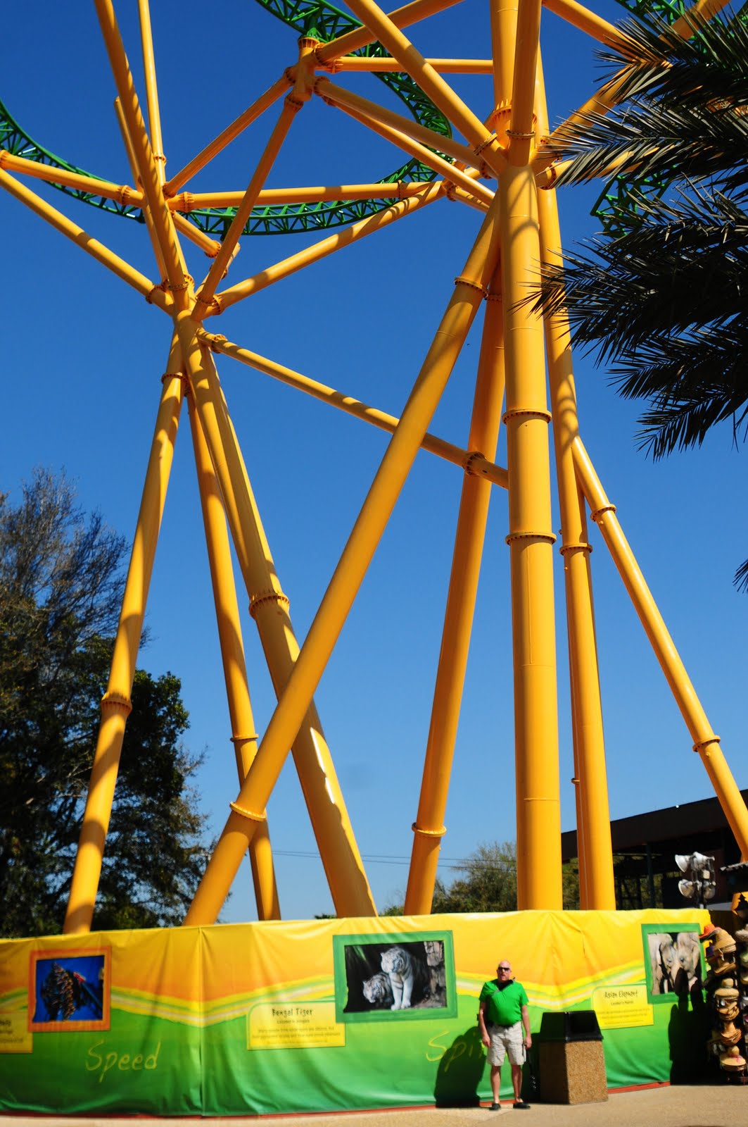 NewsPlusNotes: Scott And Carol Present - Cheetah Hunt Construction Update