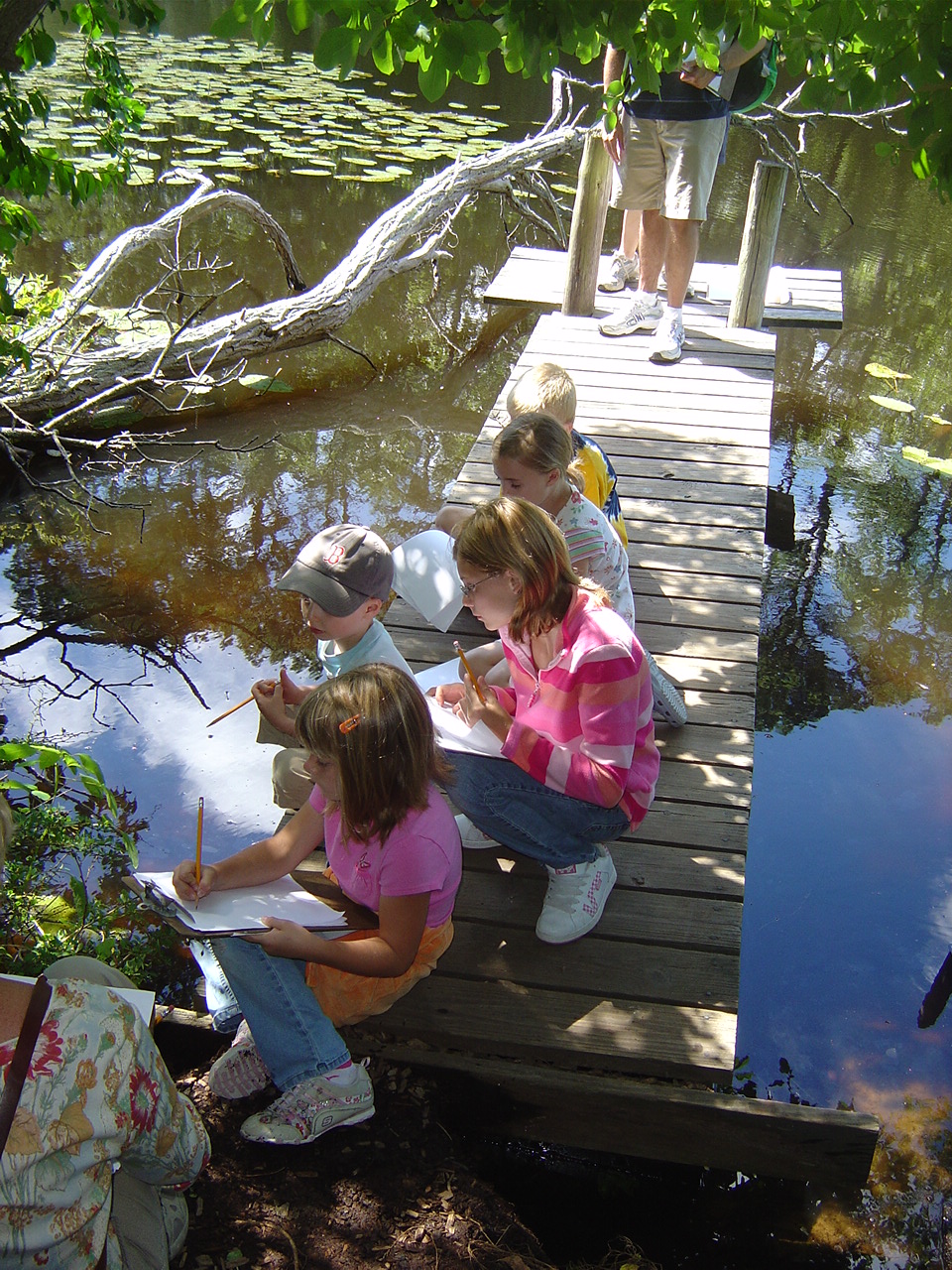 art and nature classes | Mary Richmond's Cape Cod Art and Nature