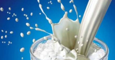 fungsi susu pada kue - Pastry dan bakery