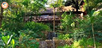 Best Destinations In The World: Beautiful Coorg Karnataka HD Wallpapers ...