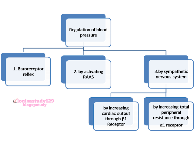 Study Pack: Hypertension at a glance: Introduction & Treatments