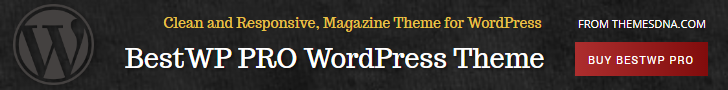 BestWP PRO WordPress Theme – Clean and Powerful WordPress Blogging Theme