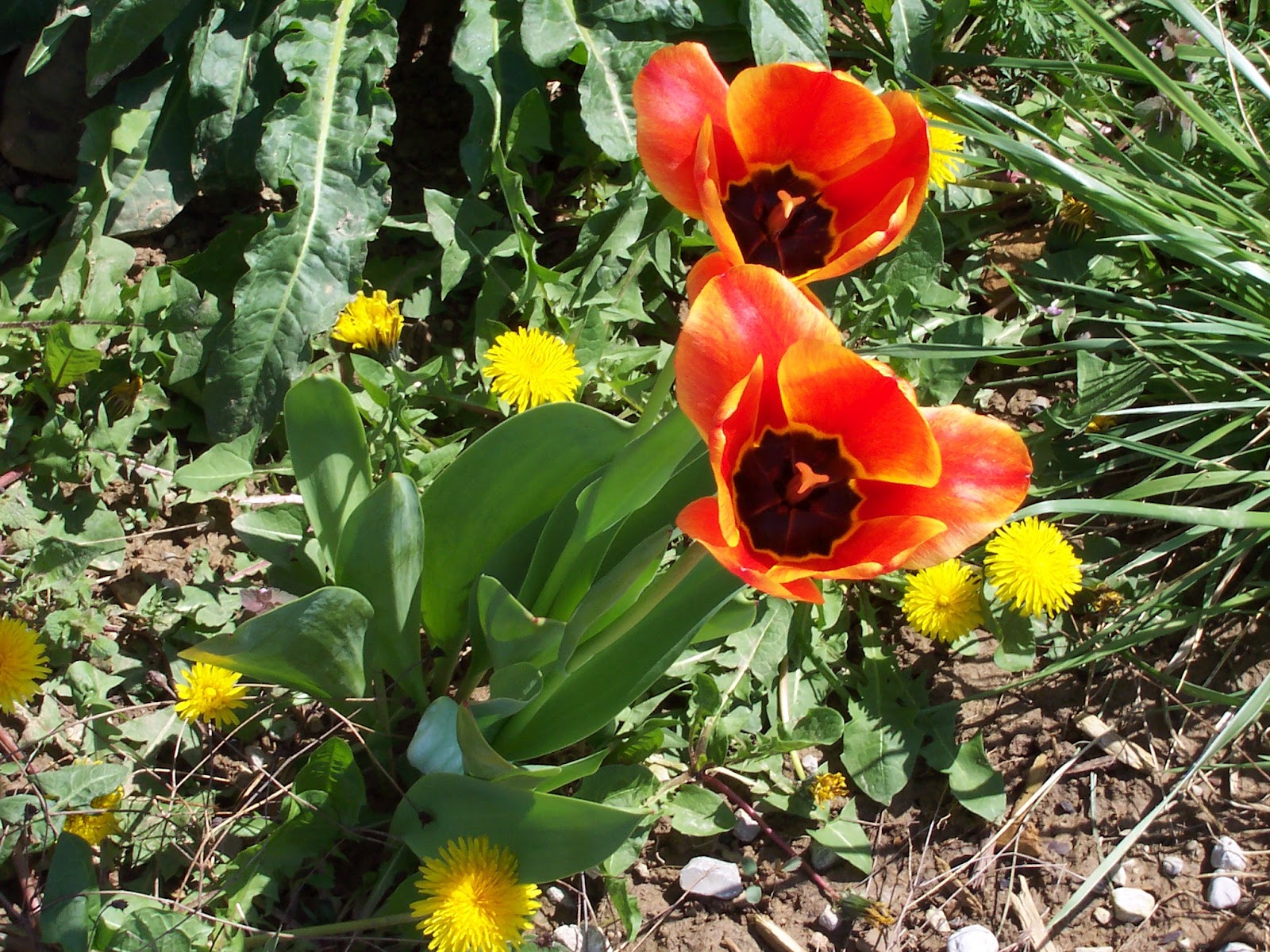 Explore! Southern Indiana: Enjoy Spring in Southern Indiana