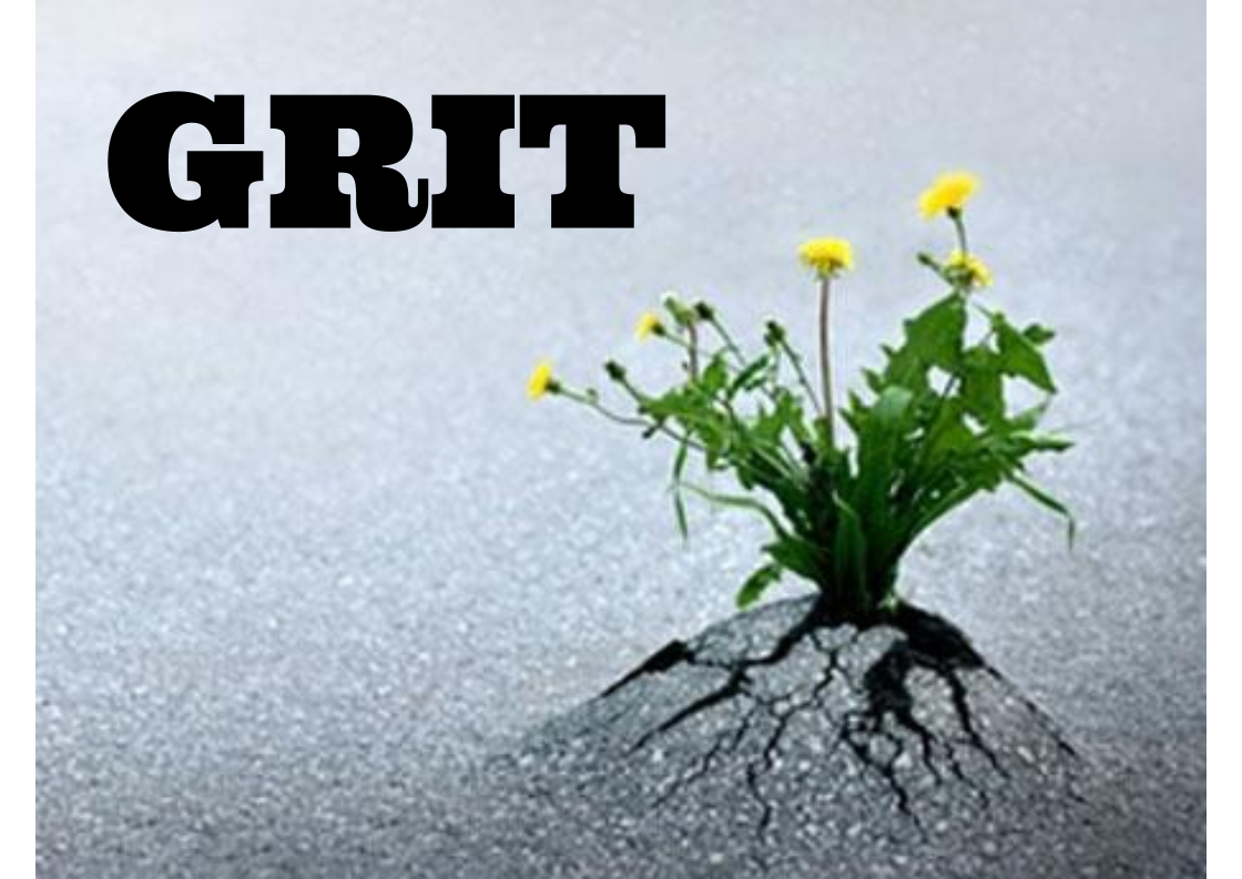 The Skyhawk Trail: Grit