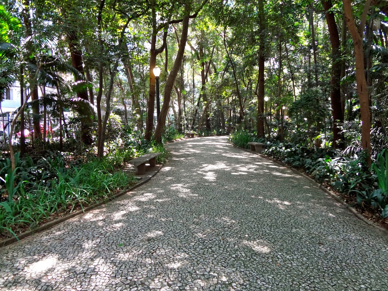 Parque Trianon ou Tenente Siqueira Campos em São Paulo ~ Áreas Verdes ...