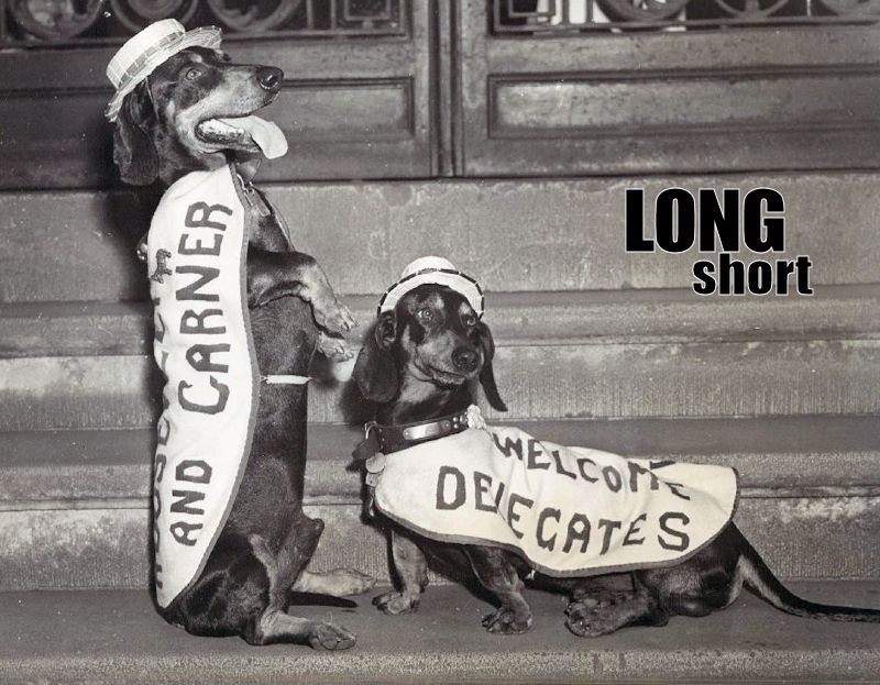 The Long and Short of it All: A Dachshund Dog News Magazine: Dachshunds ...