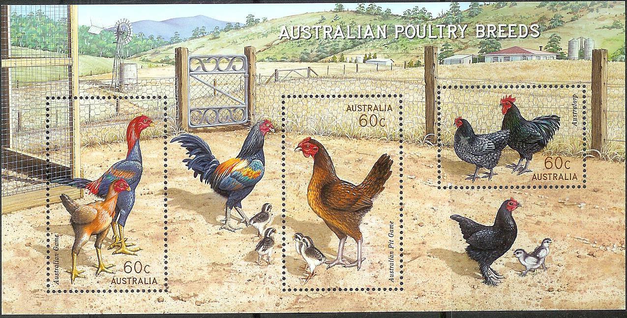 Stampsandchickenthings: Australian Poultry Breeds