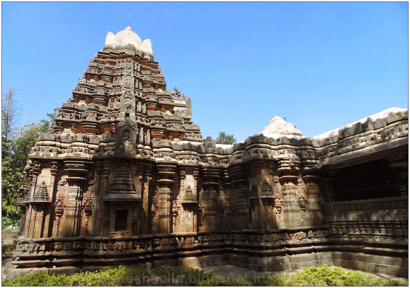 The Voice of Greenery - Trekking and Travelling in Western Ghats ...