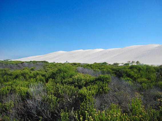 66 Square Feet (Plus): Walker Bay