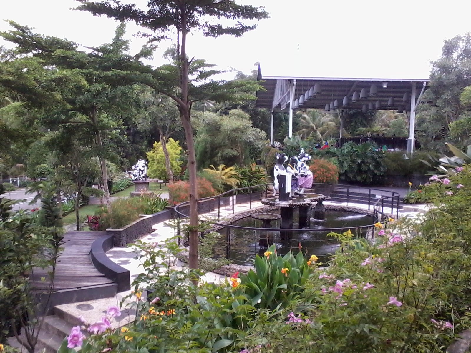 Cimory Bawen Kab. Semarang, Nggak Cuma Nyusu :D