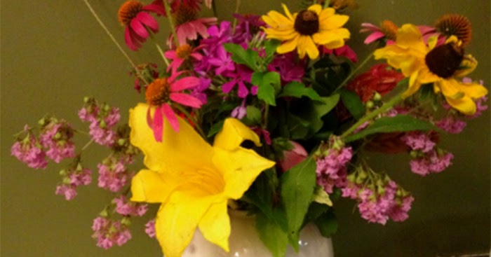 Growing a cut flower garden ~ Caroline Plouff