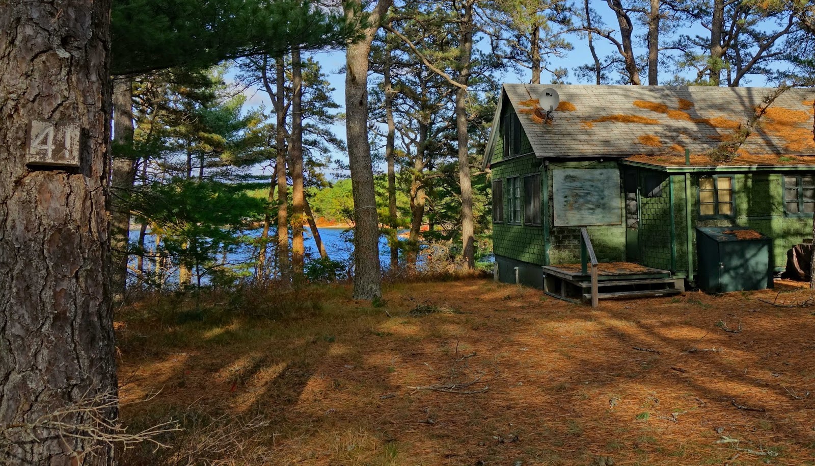 Joe's Retirement Blog: Fall, Manomet, Plymouth, Massachusetts, USA