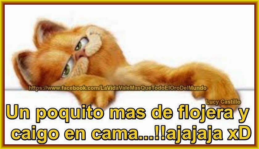 Imagenes animadas de flojera - Imagui