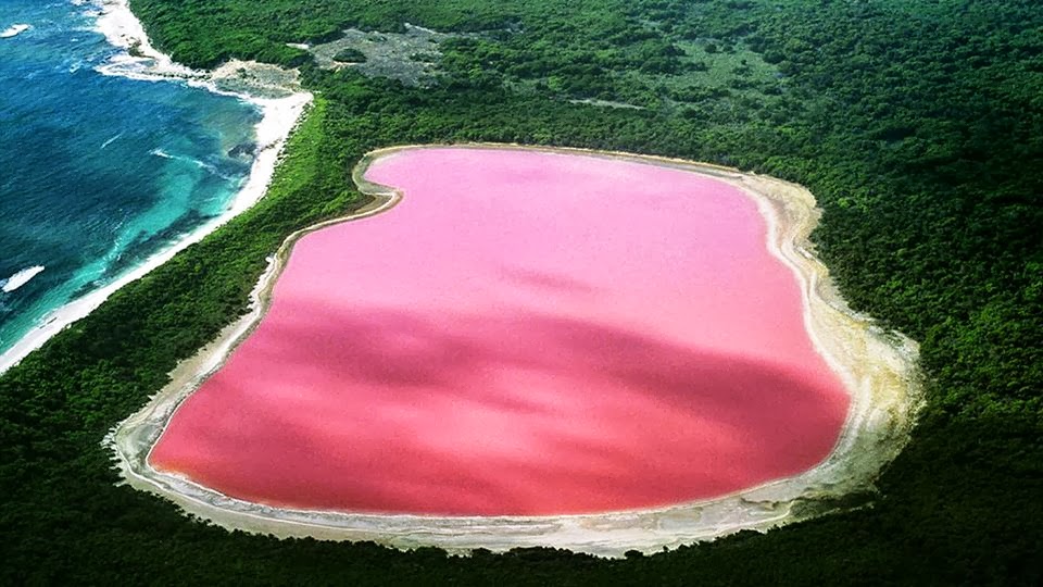 Curiosidade: Lago Rosa? - Clube João Zielack - JZ