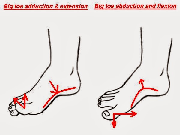 Biokinetic Golf Swing Theory: Secret in toes. Part 2.