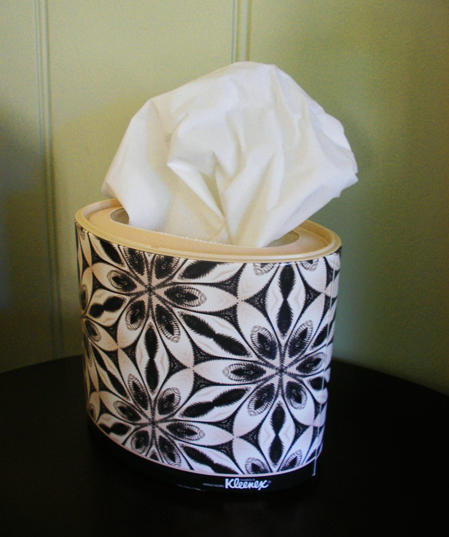 cathy hunt | blog | open book: Kleenex: Making the world a more ...