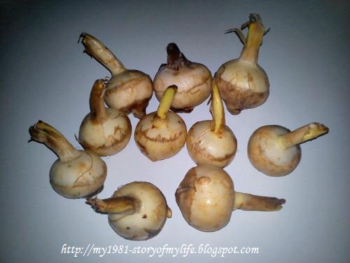 story of my life: kerepek ngaku@arrowhead