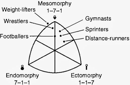 Runner: Lasse Juusela: Body Composition and Somatotype