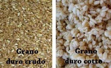 cook around apulia: RICETTA 2: il grano
