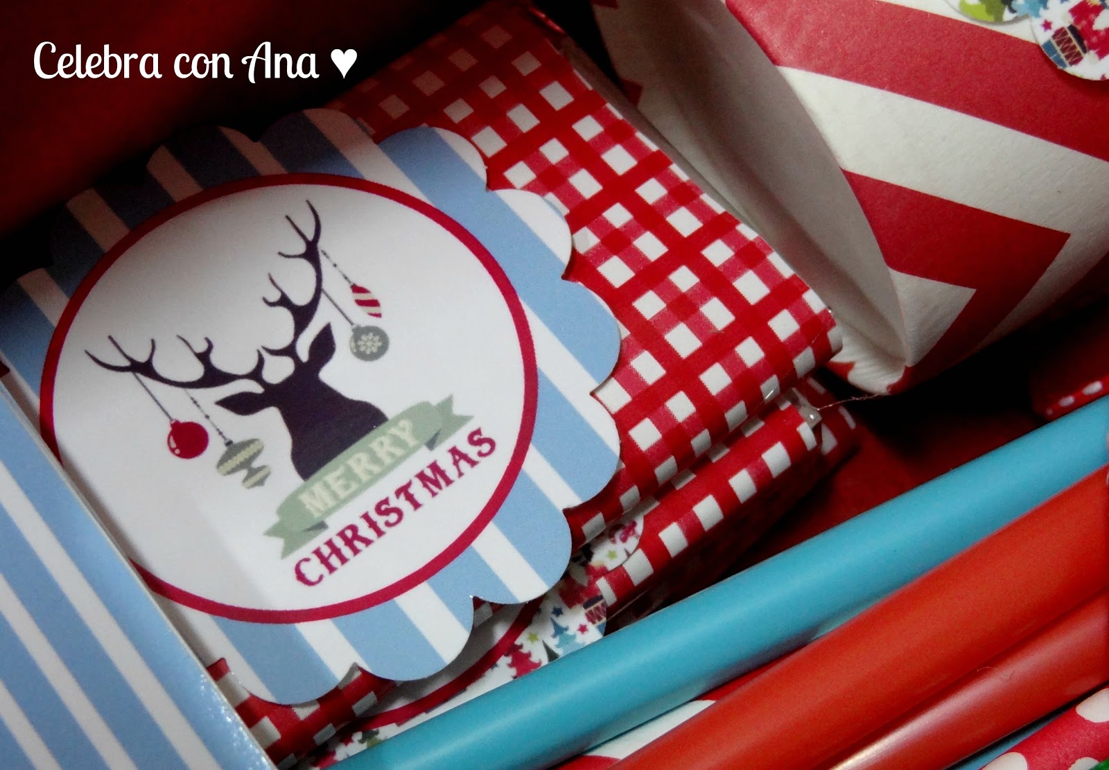 Kit de Fiesta de Navidad • Celebra con Ana