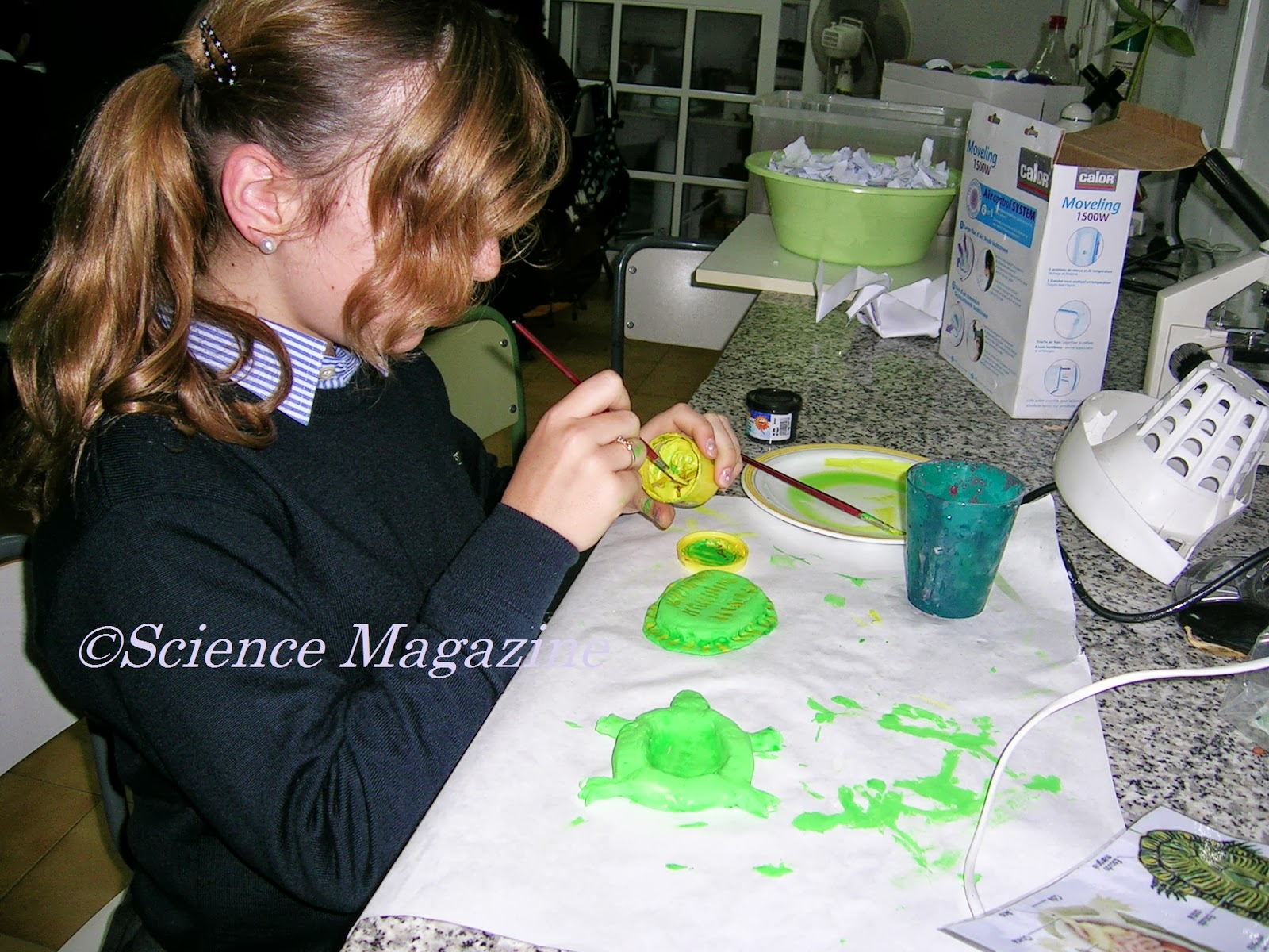 Science Magazine: SCIENCE FAIR PROJECT - TURTLES - By Amaya Valdés