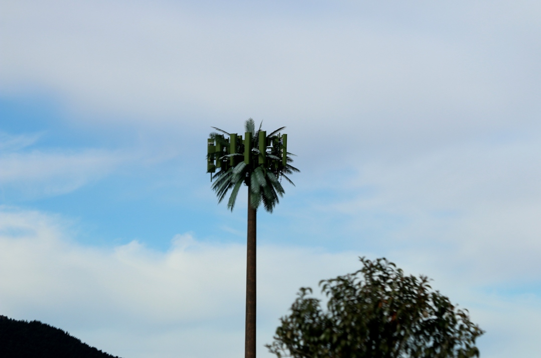 A photo, A thought............: Observation: Stealth cellphone towers