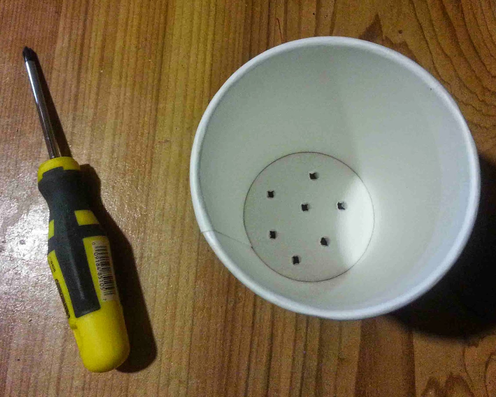 The Gardening Me: Potting Up Tomatoes