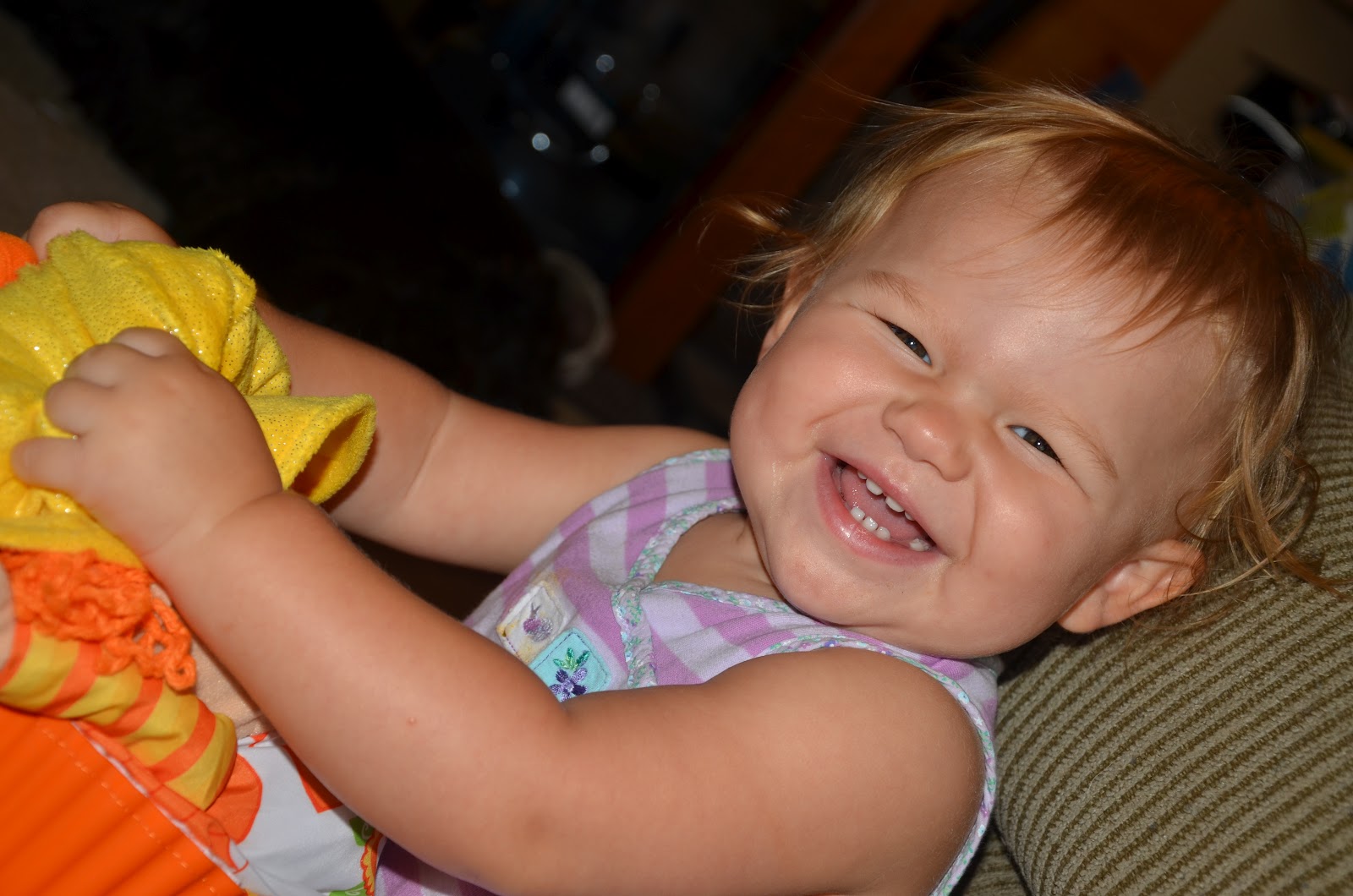 Miss Pumpkin Little Miss Muffin Review