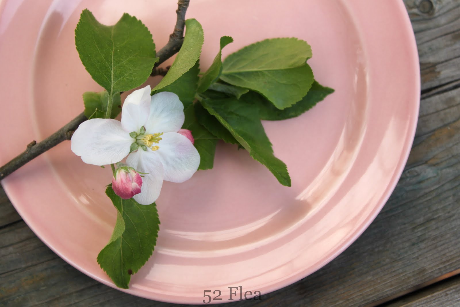 52 FLEA: Apple Blossoms and Rusty Farm Relics