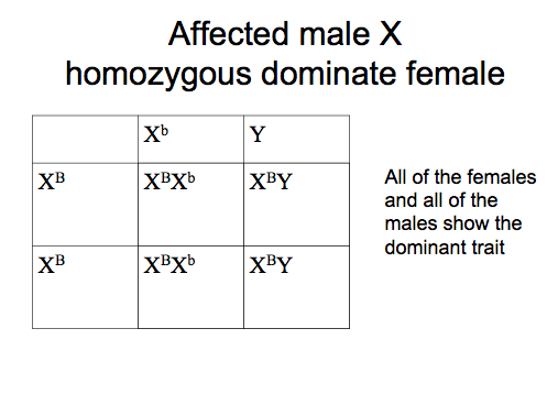 Chapter 11: Mendelian Genetics | Biology, as if it mattered