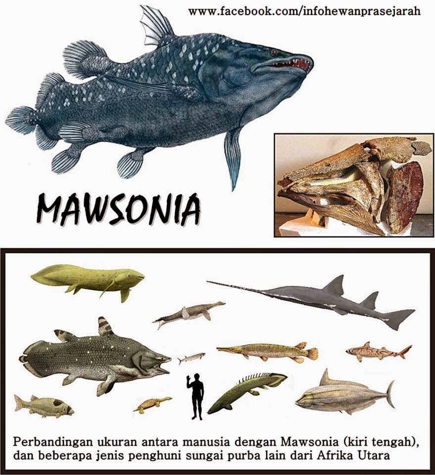 Info Hewan Prasejarah