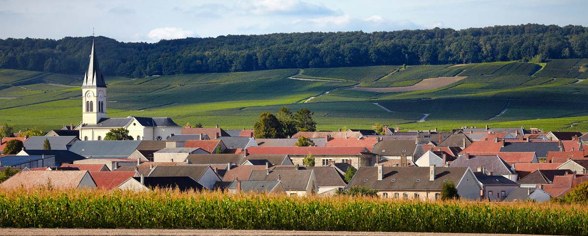 LeDomduVin: Laurent-Perrier Bouzy Rouge Cuvée Cent Cinquantenaire 1812-1962