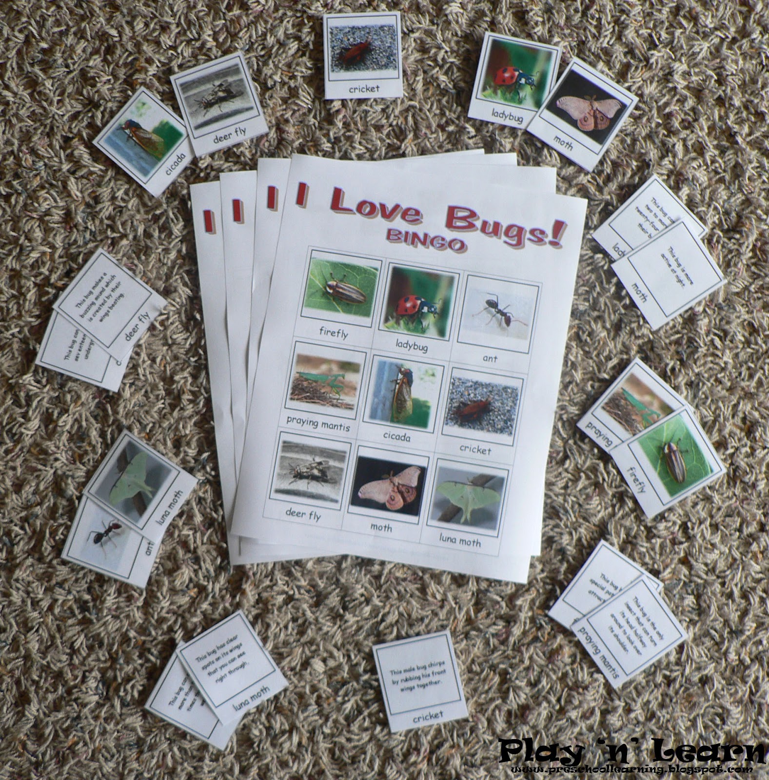 Play 'n' Learn: I Love Bugs! Philemon Sturges
