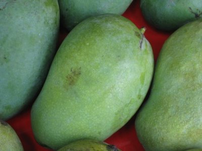 orangkecilorangbesar: Mempelam Perlis – Lebuhraya BKH Kuala Perlis vs ...