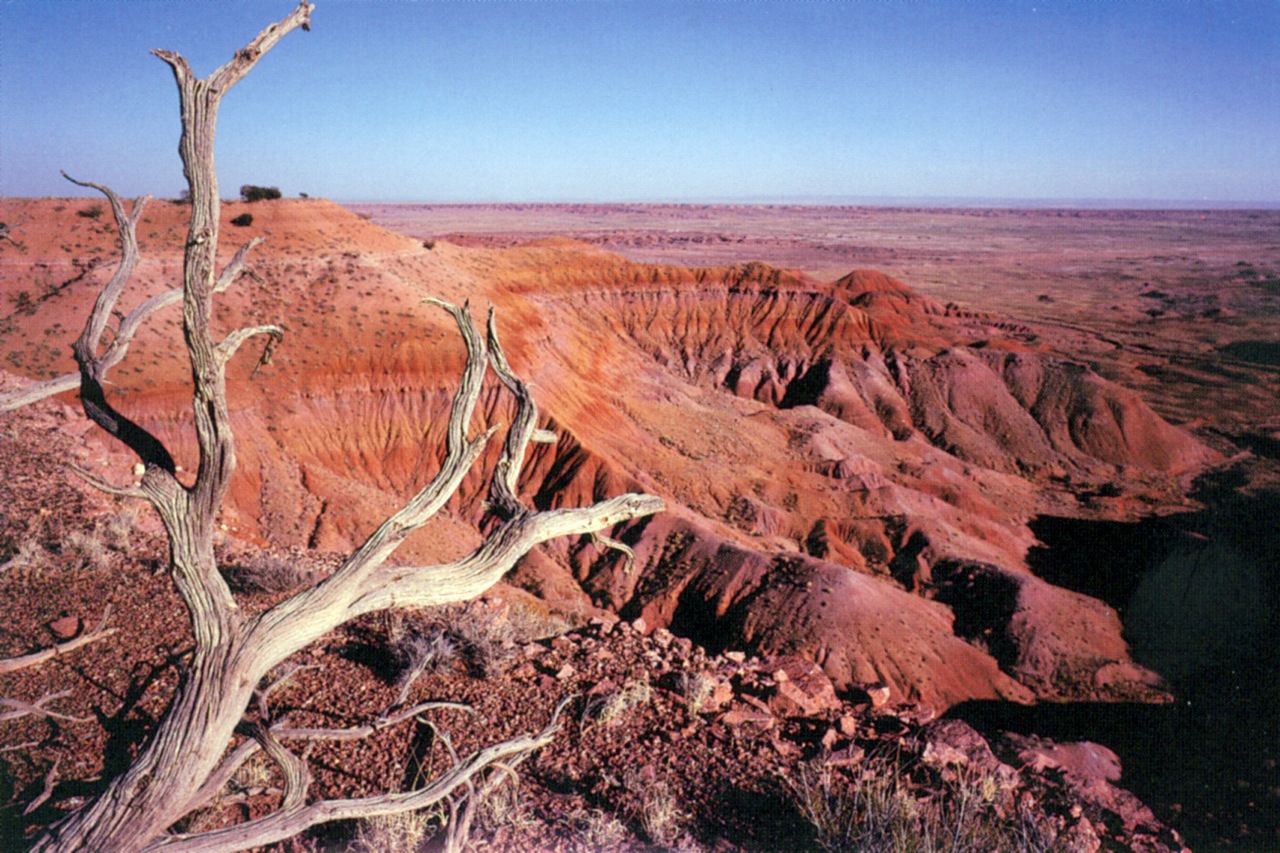 Petrified Forest National Park really "Rocks" - RV Travel