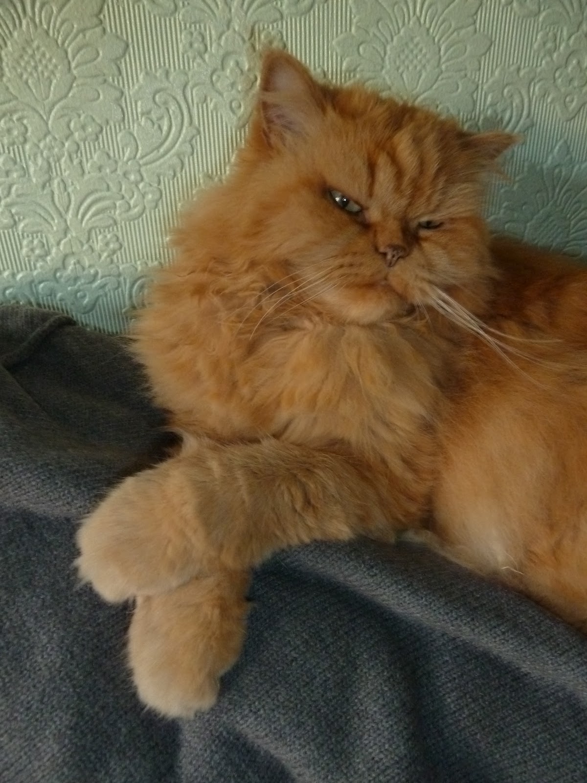 Angel Ginger Jasper: June 2012