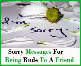 Sorry Messages : Being Rude