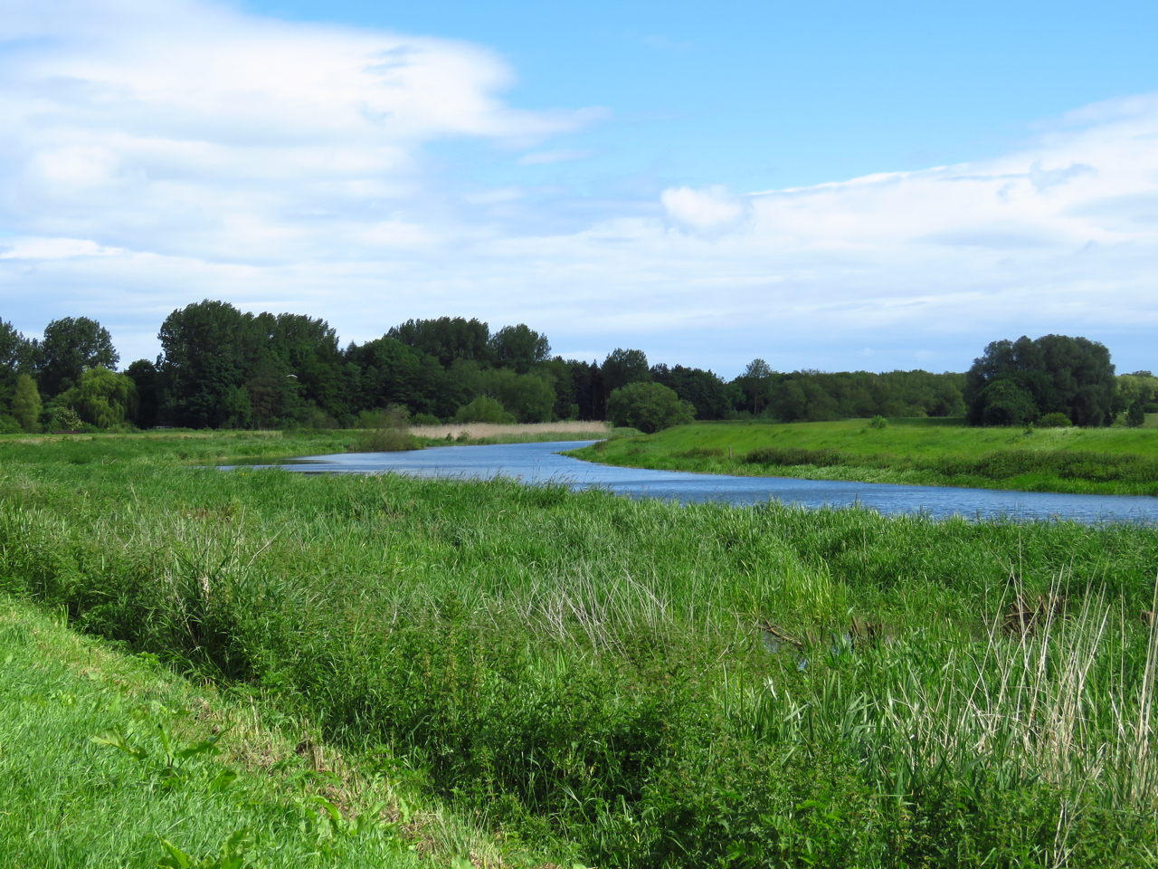 Wild at Hull: River Hull. Stage 11. Baswick Landing to Hempholme Lock