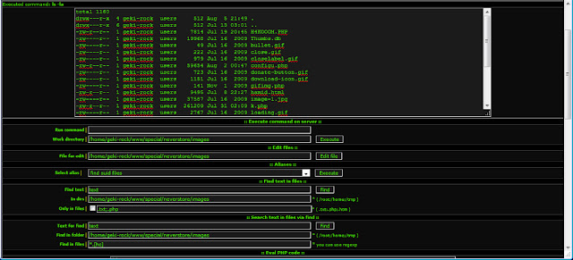 Demystifying a Backdoor Shell