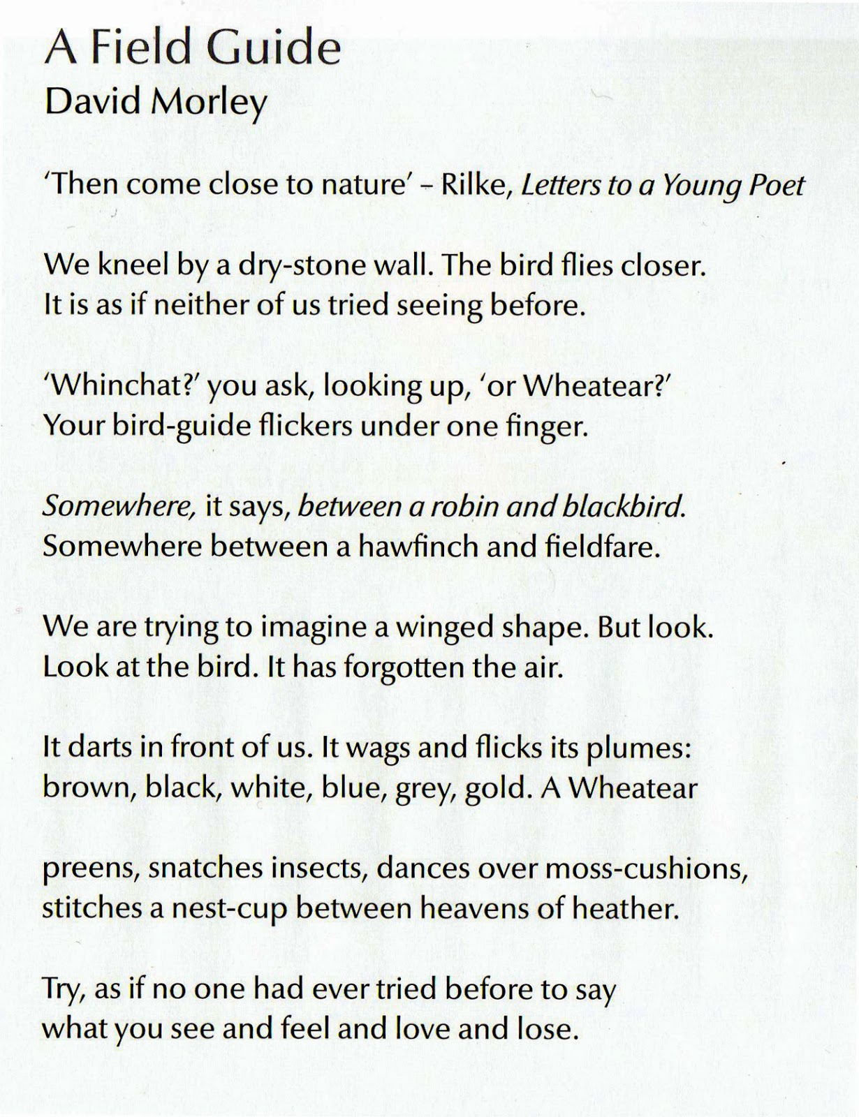 AirSpace Blog: The Poetry of AirSpace Gallery - IRIS OF A PEEPING EYE