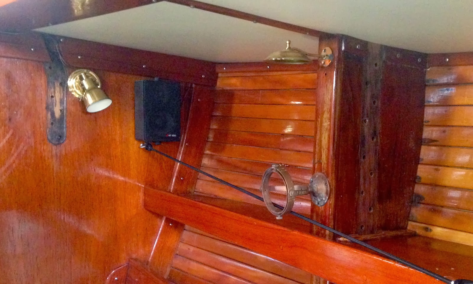 Sailing Terrapin