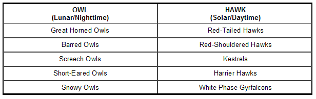 The Mind of Aquarius: OWL WISDOM