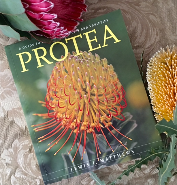 A Passion for Flowers: Protea: A Guide to Cultivated Species and Varieties