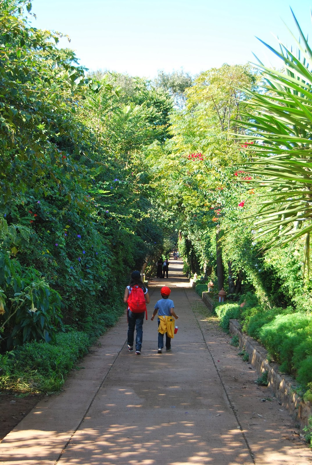 Le Grand Bazaar: Les Jardins Exotiques de Bouknadel... ou la journée ...