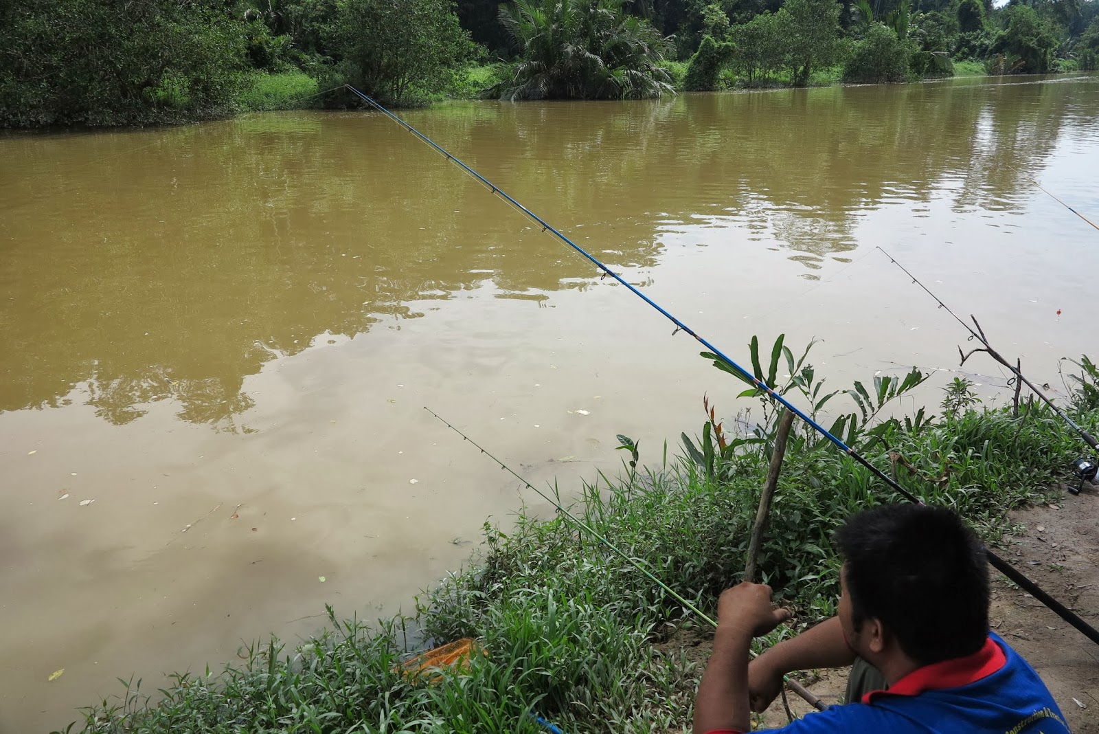 Cinta Pada Yang Satu: MEMANCING UDANG GALAH DI SUNGAI TIMUN, NEGERI ...