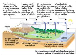 BIODIVERSIDAD: CICLOS BIOGEOQUIMICOS