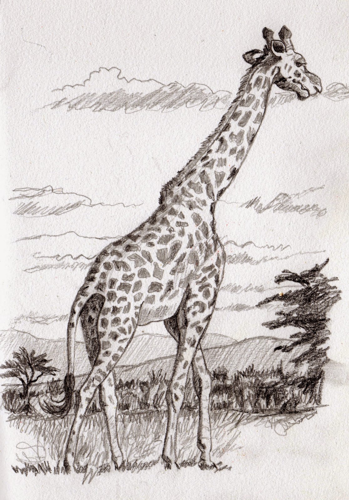 Scott's Creativity for Sanity: Giraffe sketch