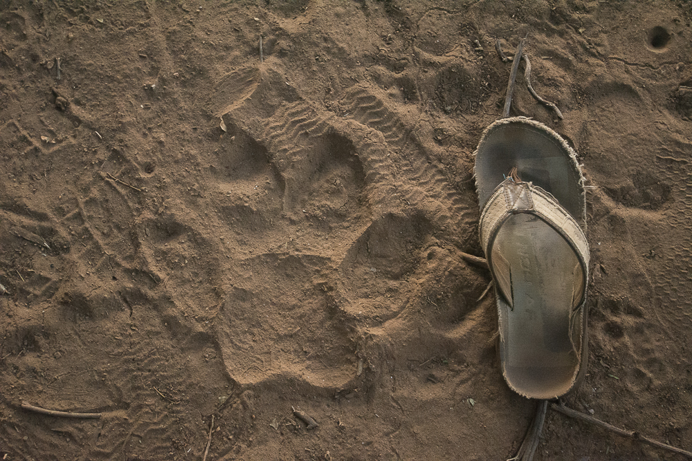 Malawi 2016: Day 24 - 6 June 2016 Mvuu Lodge to Zambezi Waterfront ...