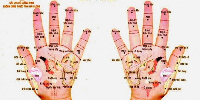 TỰ CHỮA BỆNH BẰNG DIỆN CHẨN - Dụng cụ Diện Chẩn, Massage