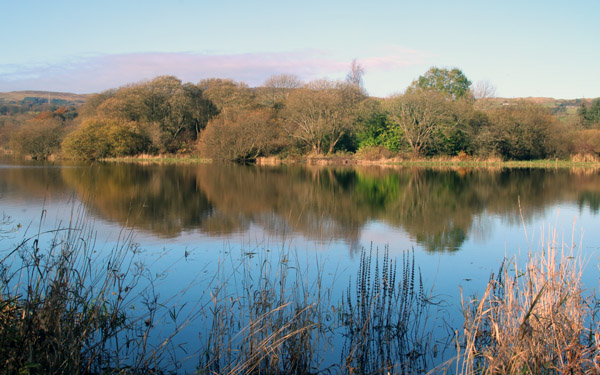 Curling History: December 2017